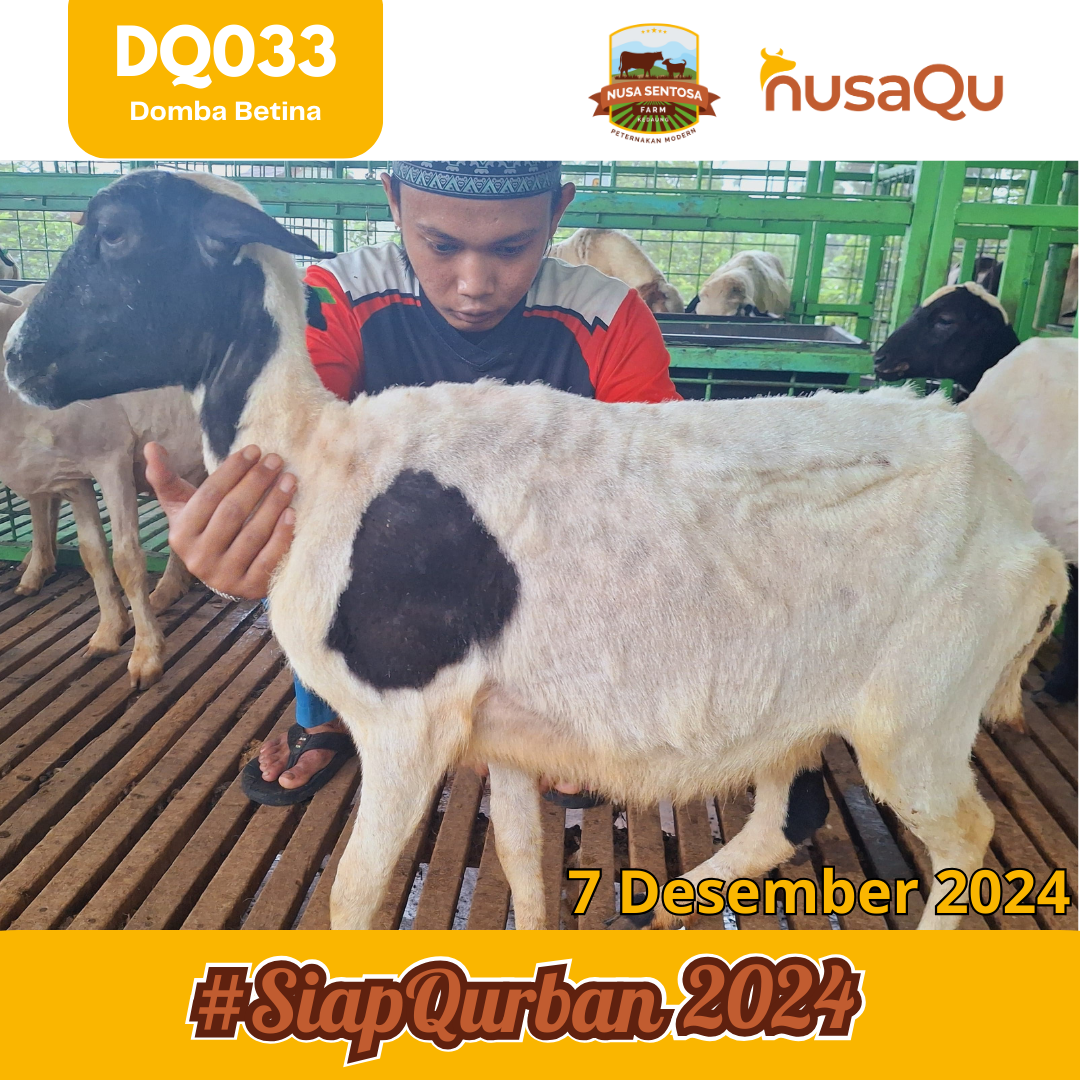 Detail Sapi